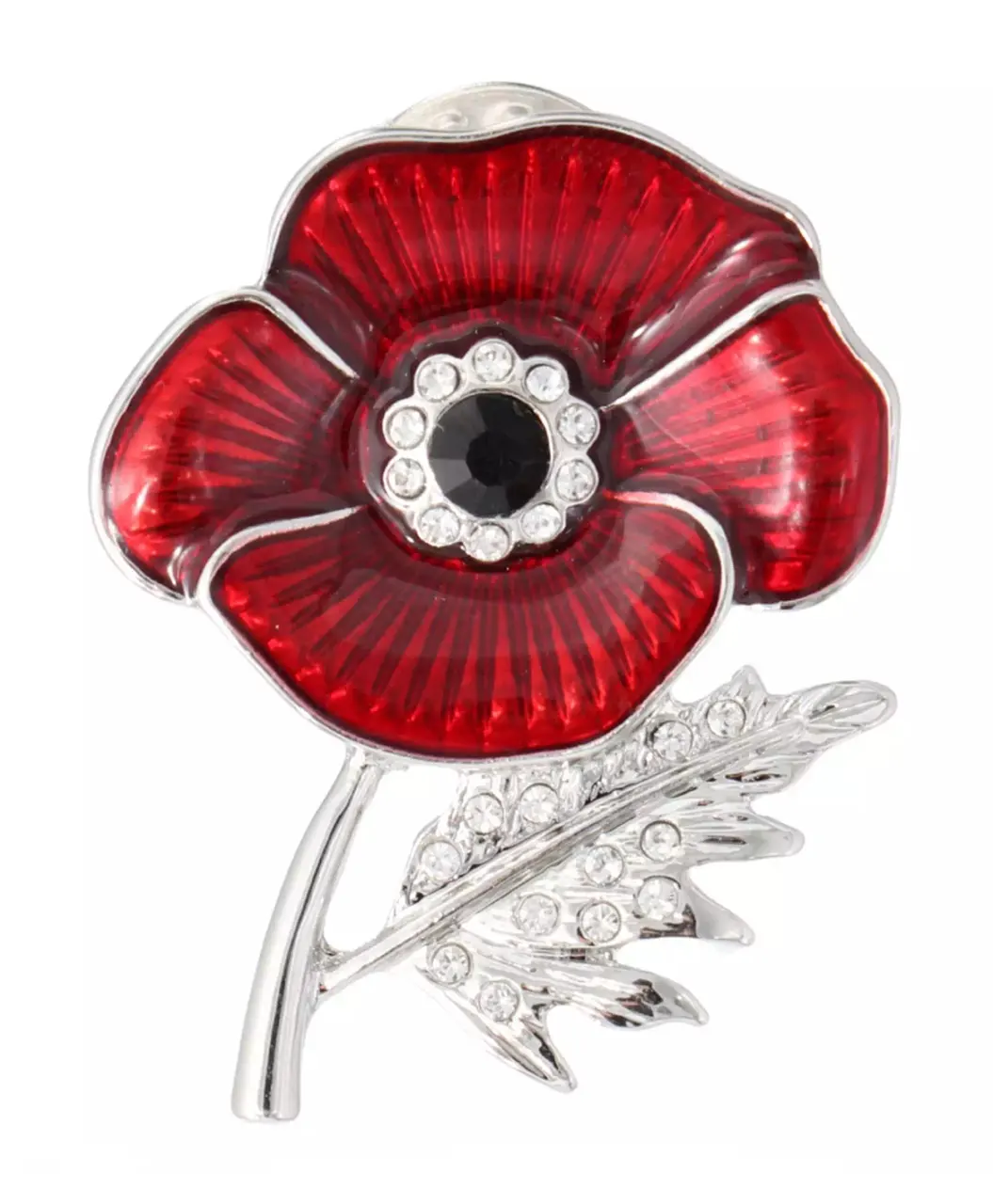 Remembrance Day