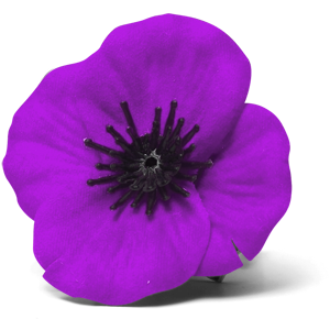 Purple Poppy Collection
